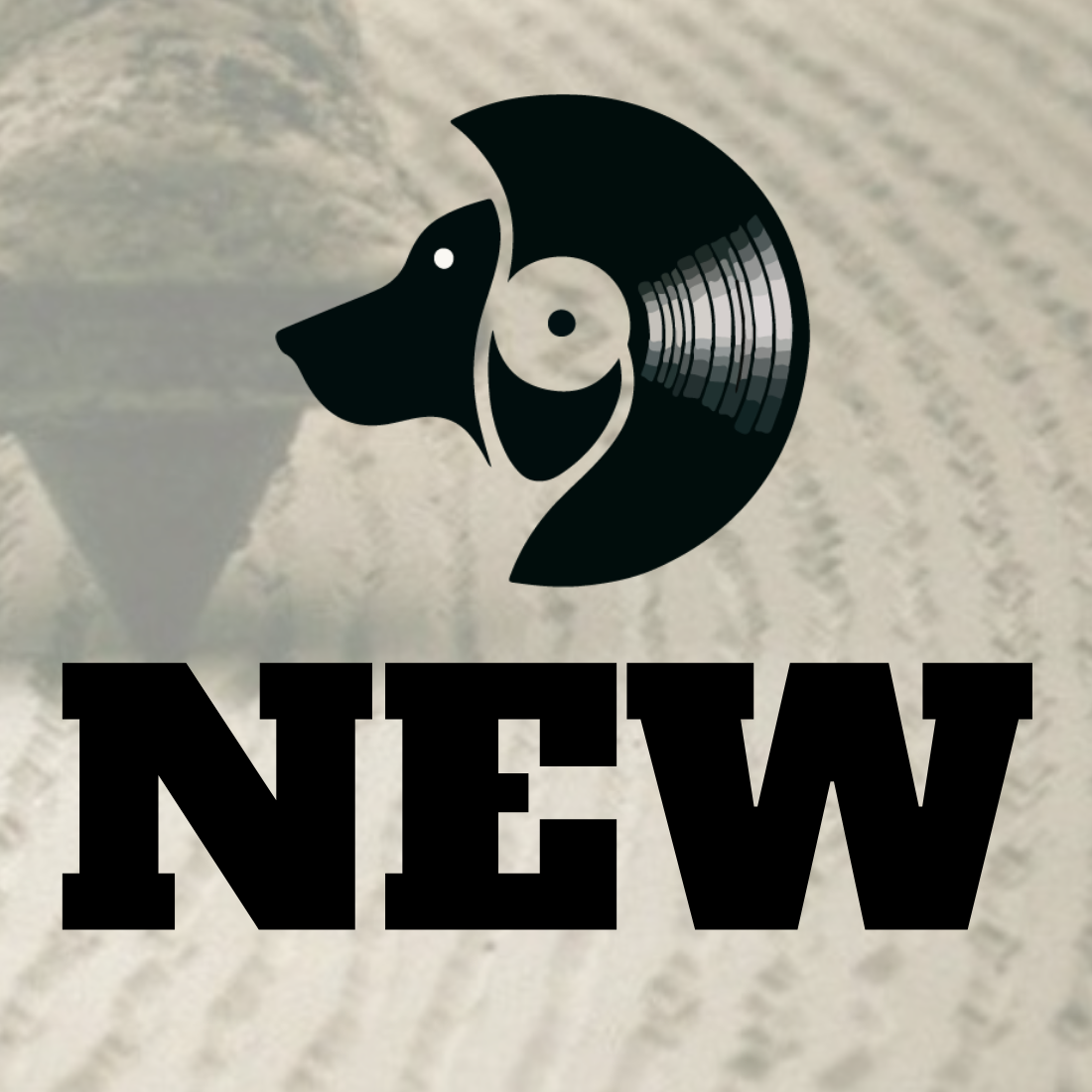 New Arrivals – Sound Hound Records